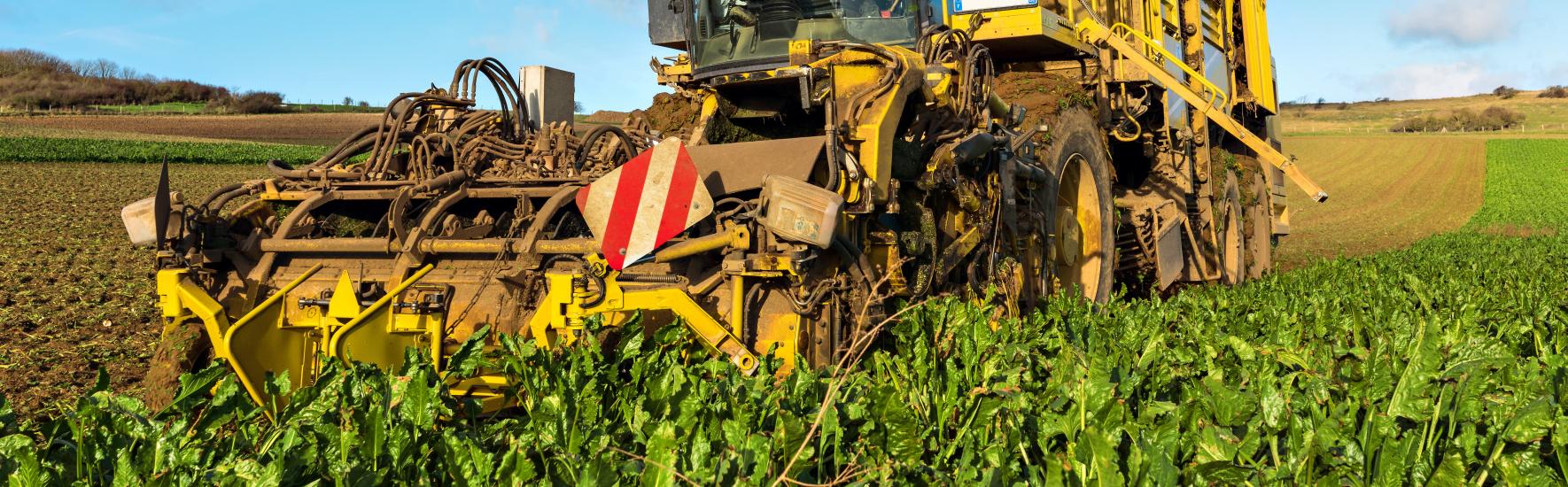 Crop Share Agreements Make Great Use of Farm Land - Pager.org