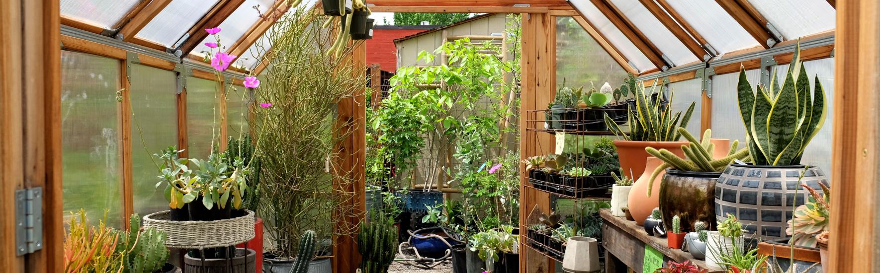 A Greenhouse Can Extend Your Growing Period Year Round - Pager.org